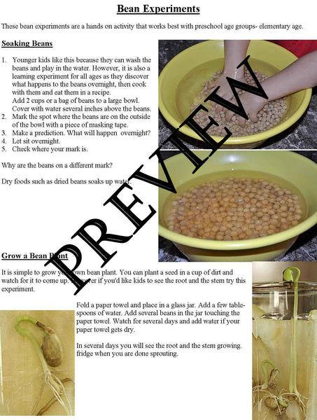 Kitchen and Food Science Experiments-Digital Download – Kids Cooking ...