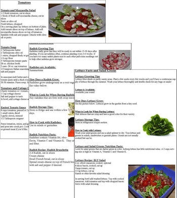 Seasonal Cooking Activities and Ideas 10 Set BUNDLE- Kids Cooking Idea ...